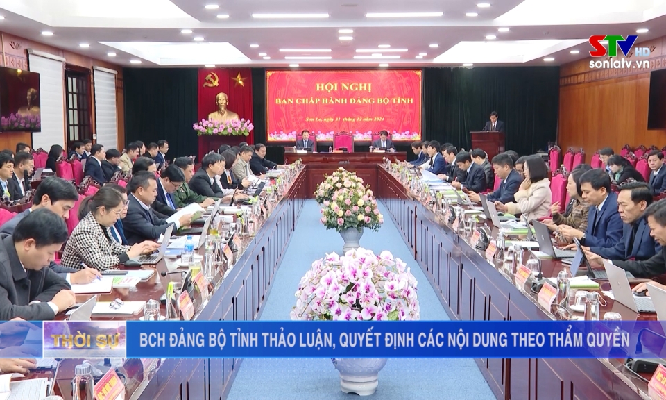 Ban Chấp hành Đảng bộ tỉnh thảo luận, quyết định các nội dung theo thẩm ...