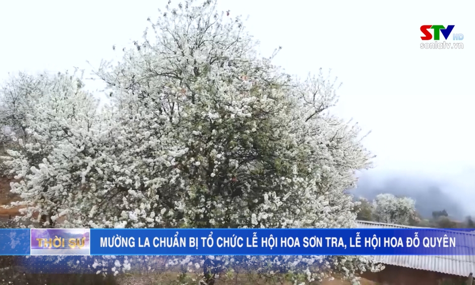 Mường La chuẩn bị tổ chức Lễ hội hoa Sơn tra, lễ hội hoa Đỗ quyên - Báo ...