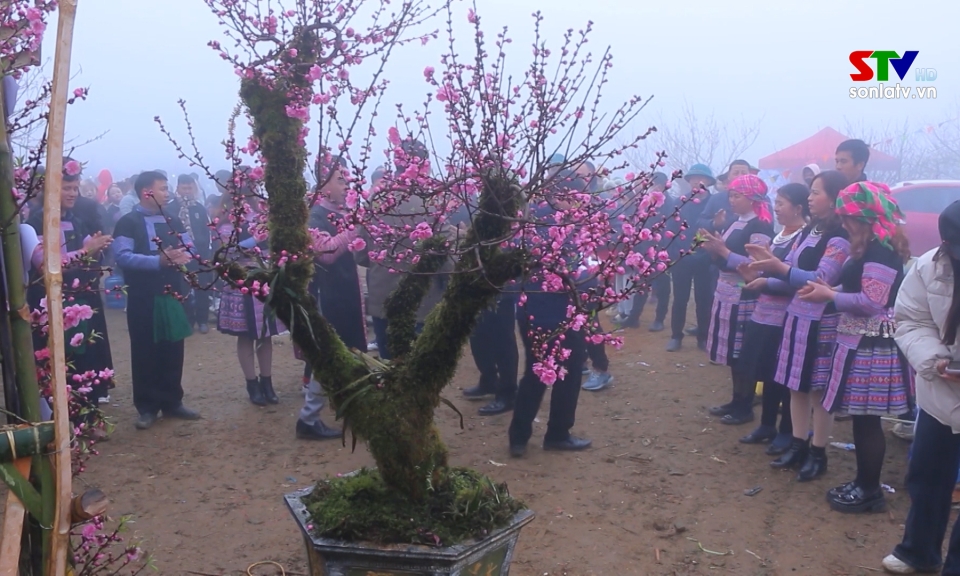 Đặc sắc ngày hội hoa đào xã Lóng Luông năm 2025 - Báo và phát thanh ...