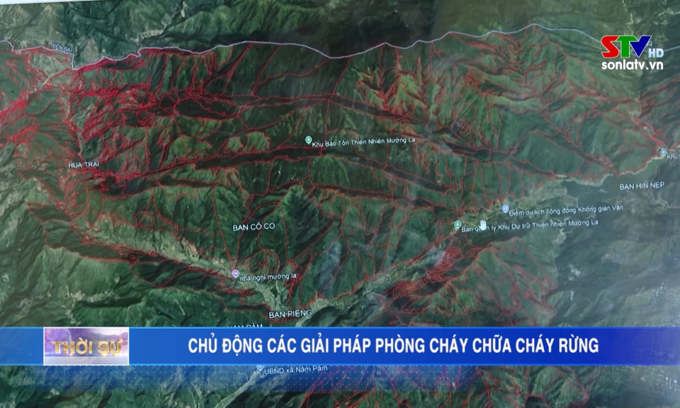 Chủ động các giải pháp phòng cháy chữa cháy rừng - Báo và phát thanh ...