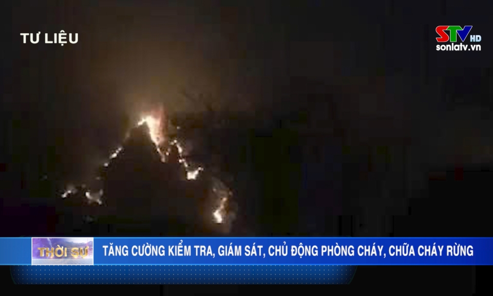 Tăng cường kiểm tra, giám sát, chủ động phòng cháy, chữa cháy rừng ...